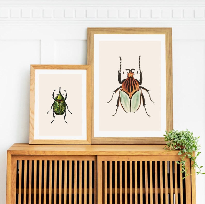 Insect Prints Set of 4, Gallery Wall Set Colorful, Beetle Gallery, Cute ...