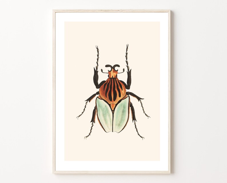 Insect Prints Set of 4, Gallery Wall Set Colorful, Beetle Gallery, Cute ...