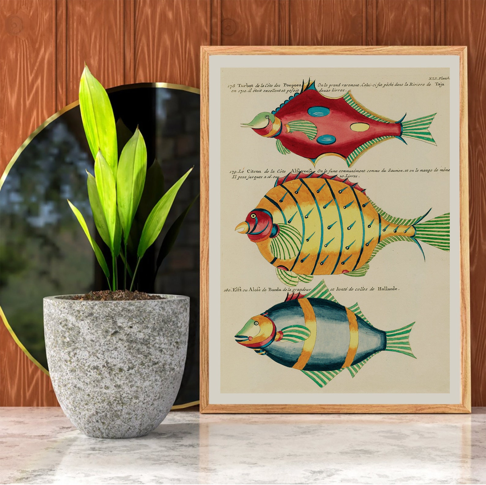 Vintage Fish Print, Botanical Kitchen Poster, Old Animal Drawing ...