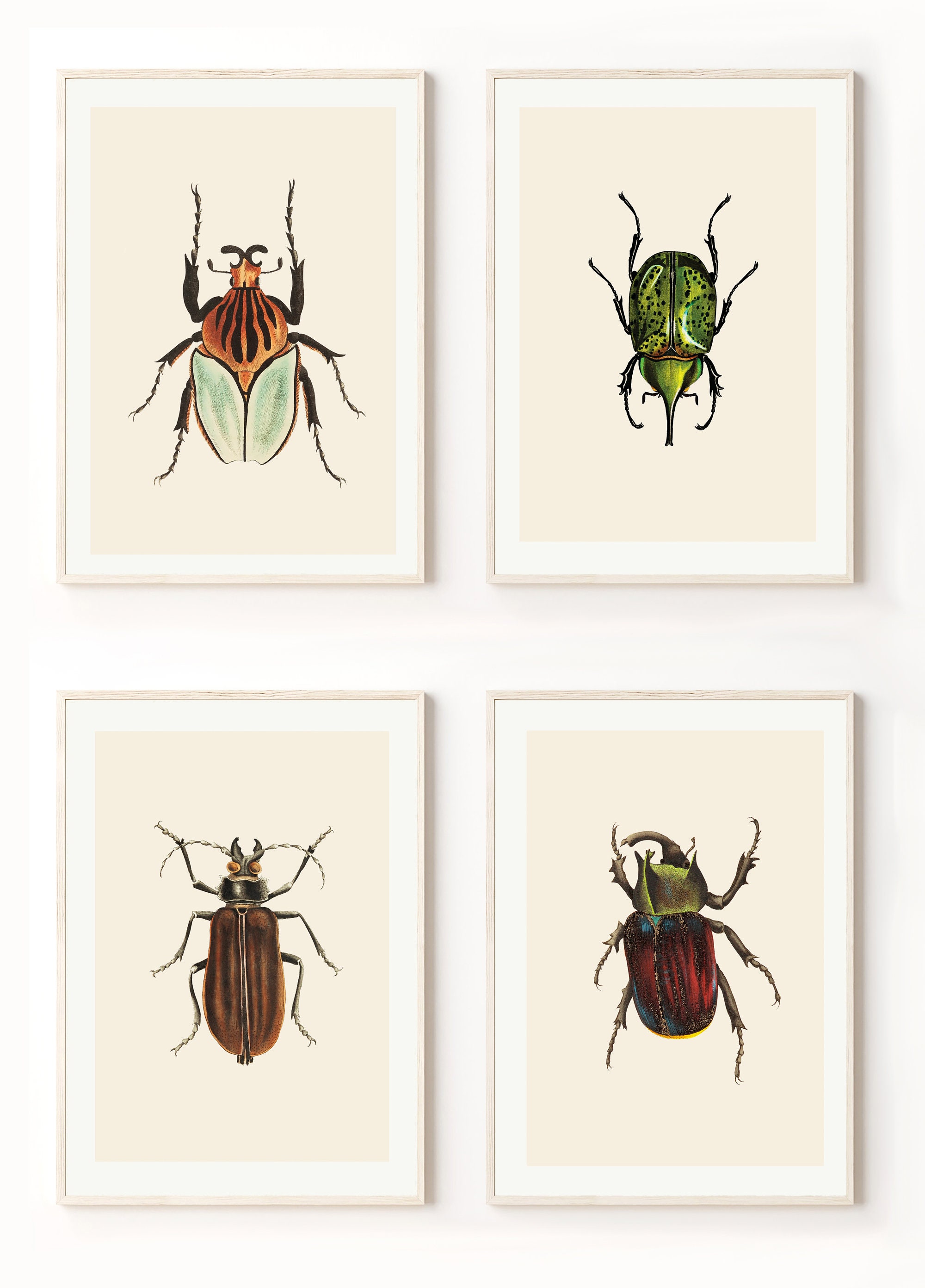 Insect Prints Set of 4 Gallery Wall Set Colorful Beetle - Etsy