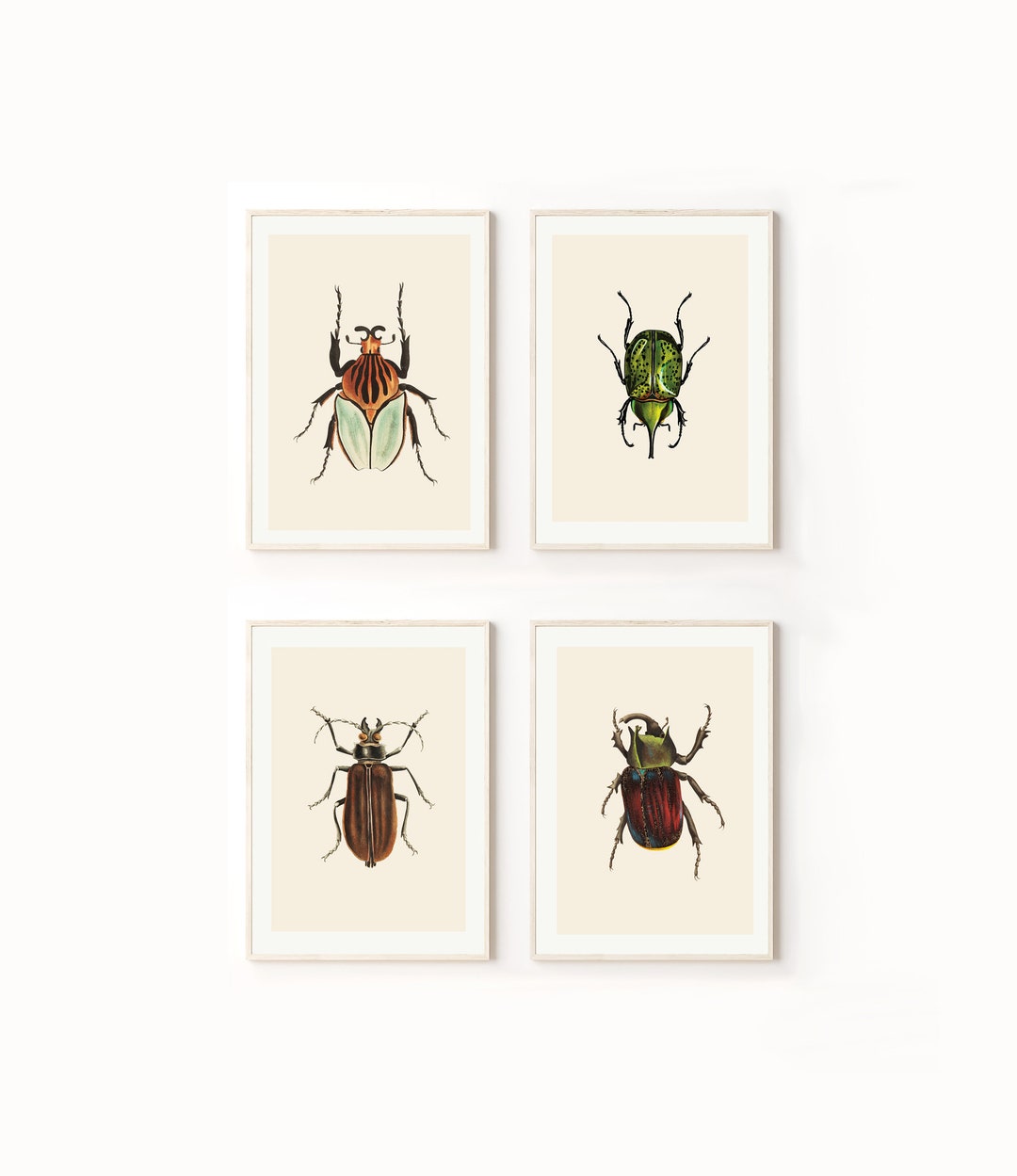 Insect Prints Set of 4, Gallery Wall Set Colorful, Beetle Gallery, Cute ...