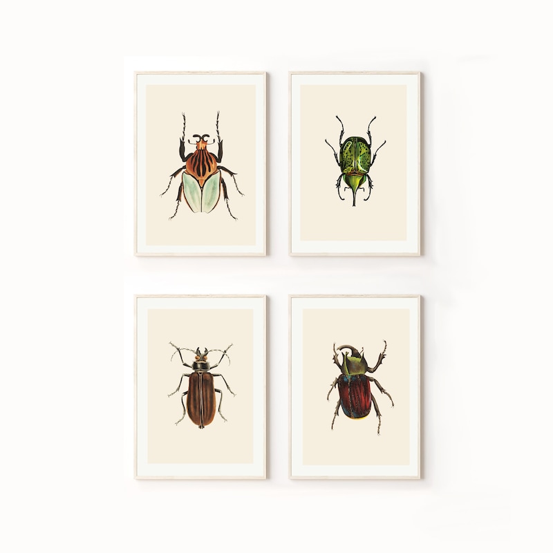 Bug Prints - Etsy