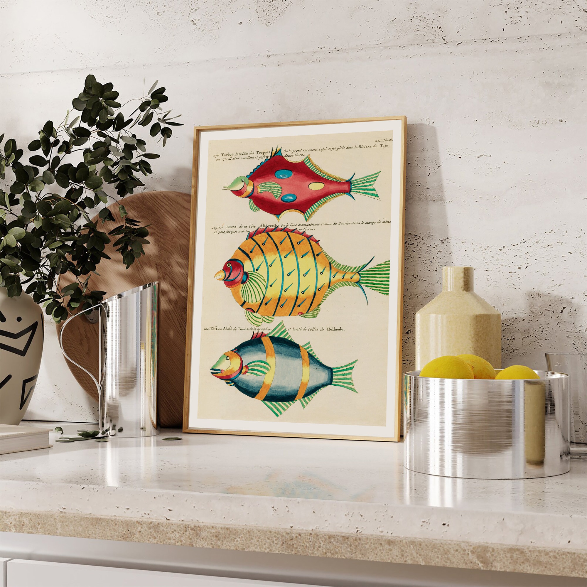 Vintage Fish Print, Botanical Kitchen Poster, Old Animal Drawing ...