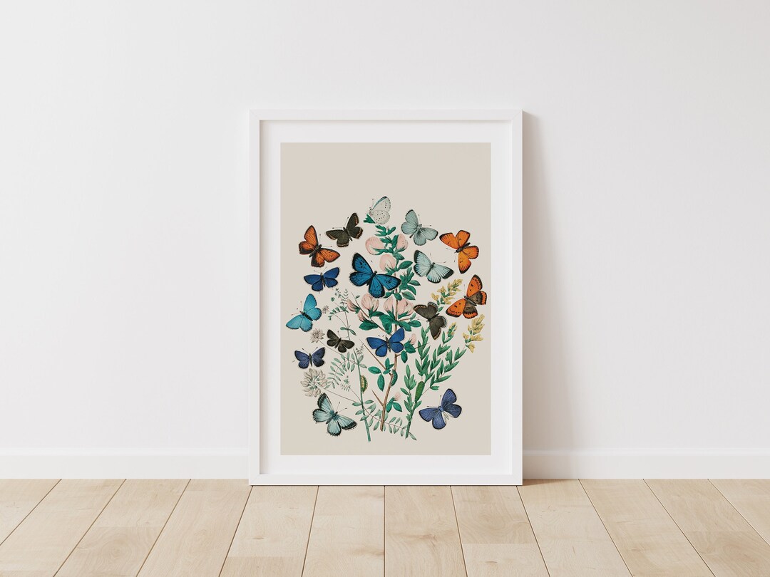 Butterfly Wall Art, Moth Wall Art, Apartment Wall Decor, Retro ...