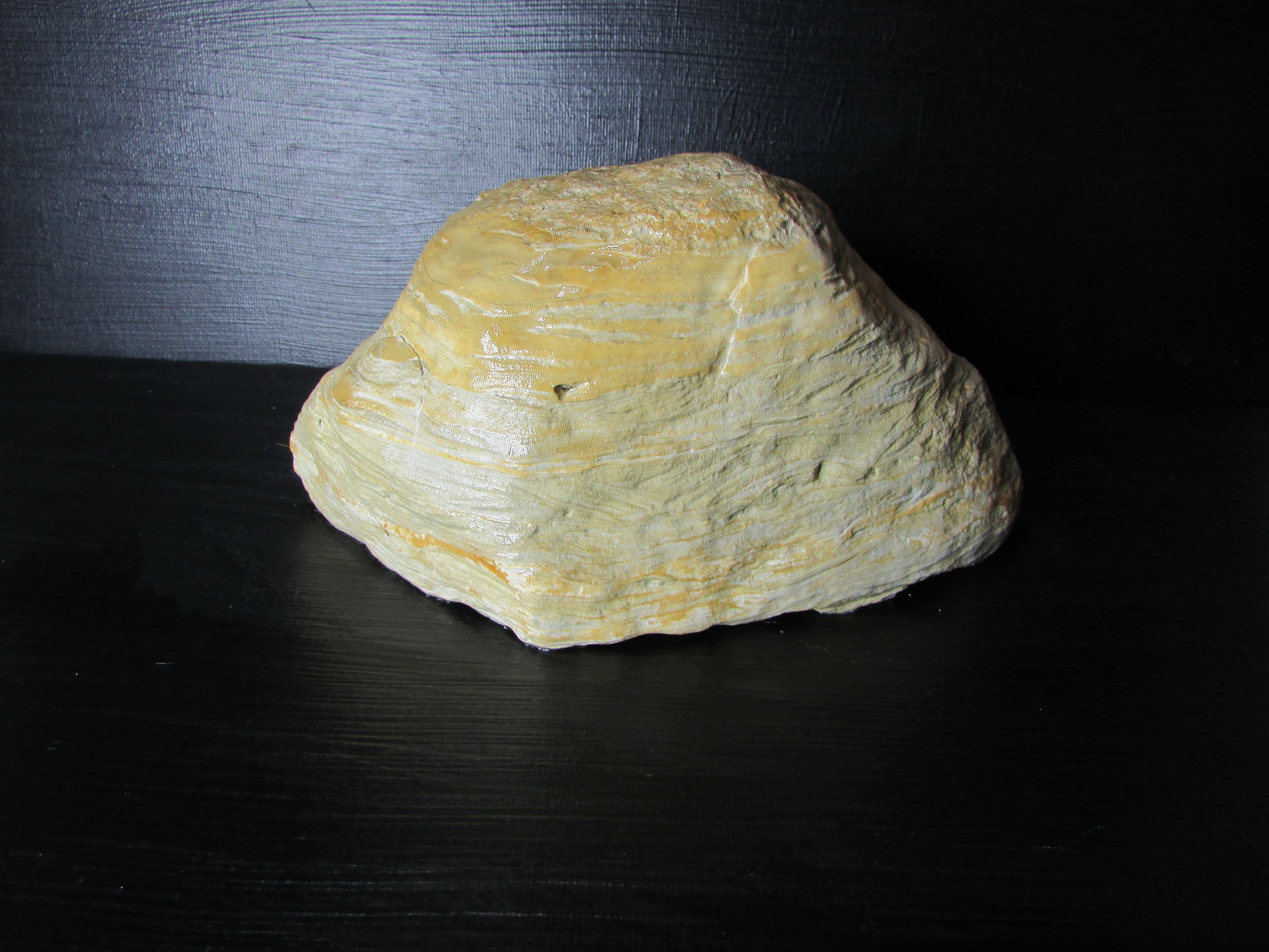 Banded Fossilized Mud 5 Lbs & 7.5 Rough Rock Fossil - Etsy