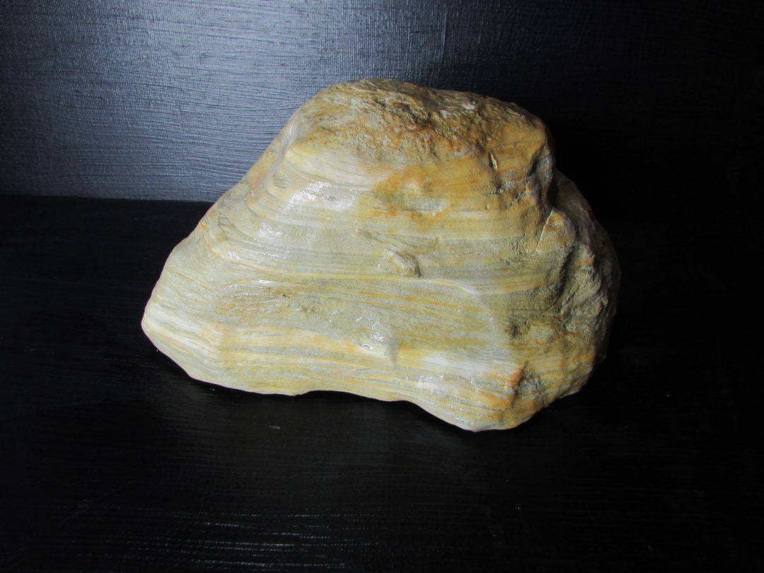 Banded Fossilized Mud 5 Lbs & 7.5 Rough Rock Fossil - Etsy