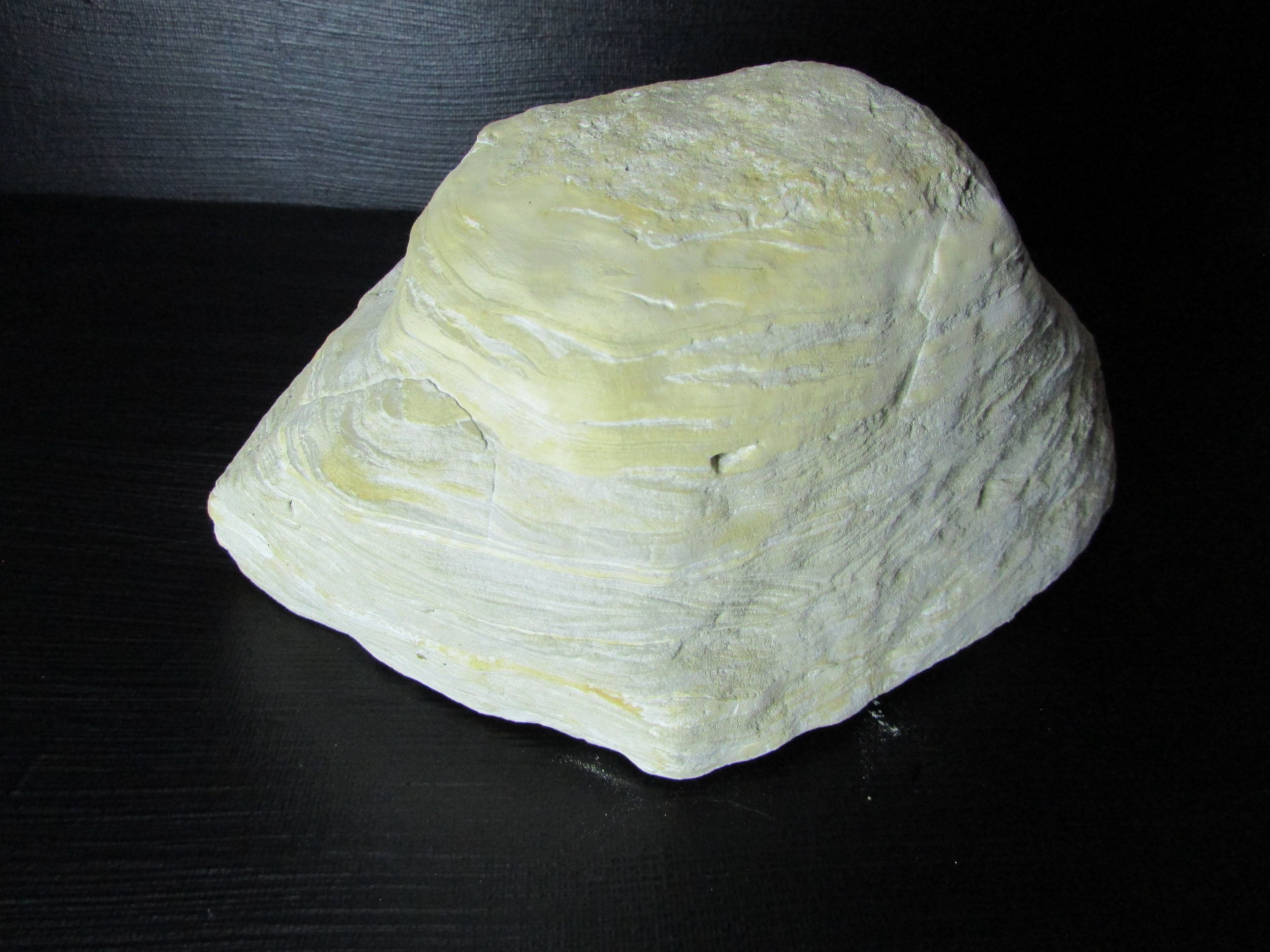 Banded Fossilized Mud 5 Lbs & 7.5 Rough Rock Fossil - Etsy