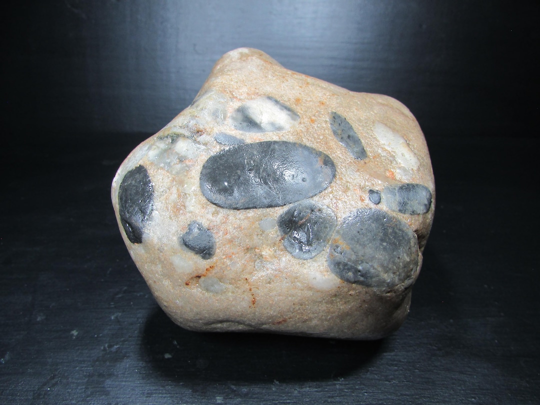 Dark Pudding Stoneunique Conglomerate Mineral Rough Michigan Rock - Etsy