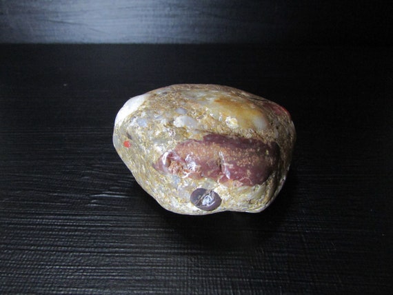 Pudding Stone 7oz & 2.75 Rough Tumbled Clear Coated - Etsy