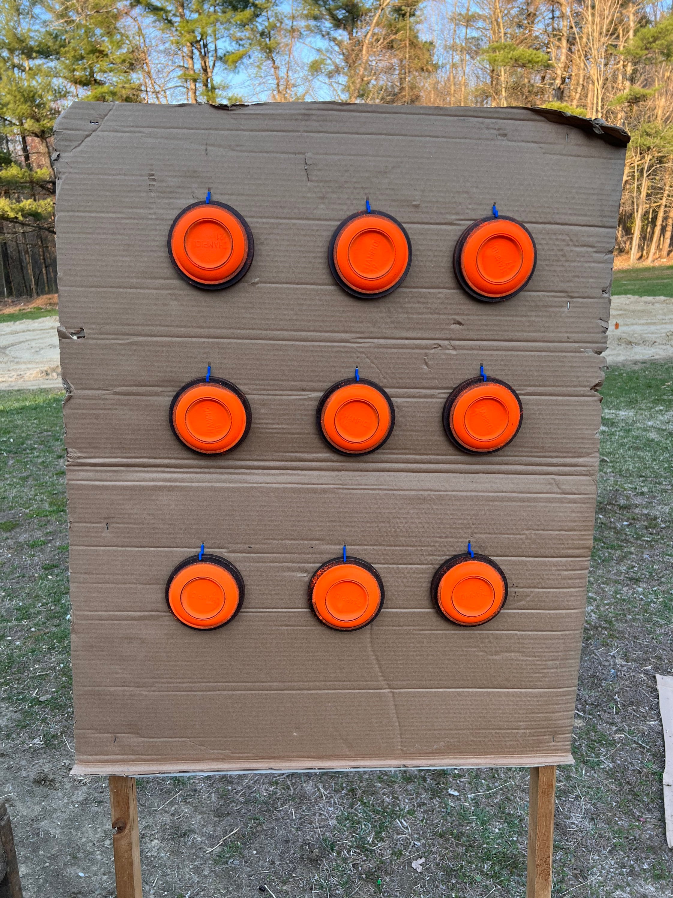 Clay Pigeon Target
