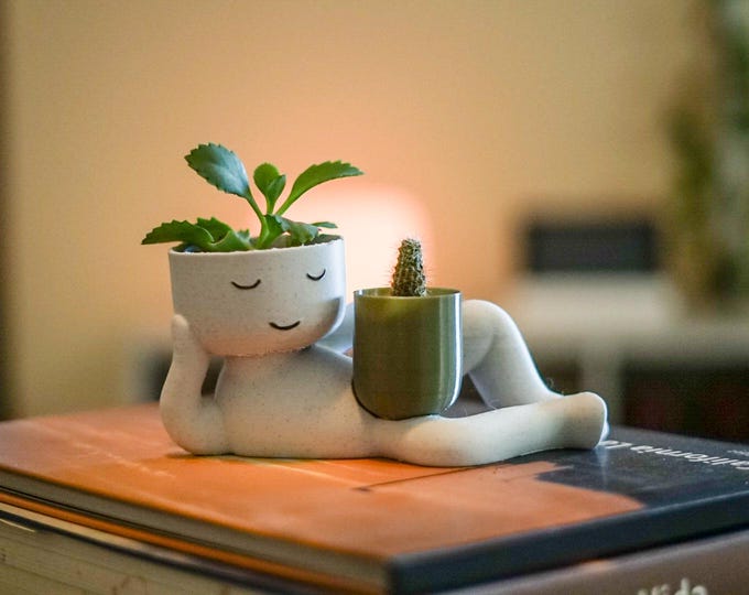 3D Printed Sassy Body Planter: Cheeky Succulent & Cactus Pot - Etsy