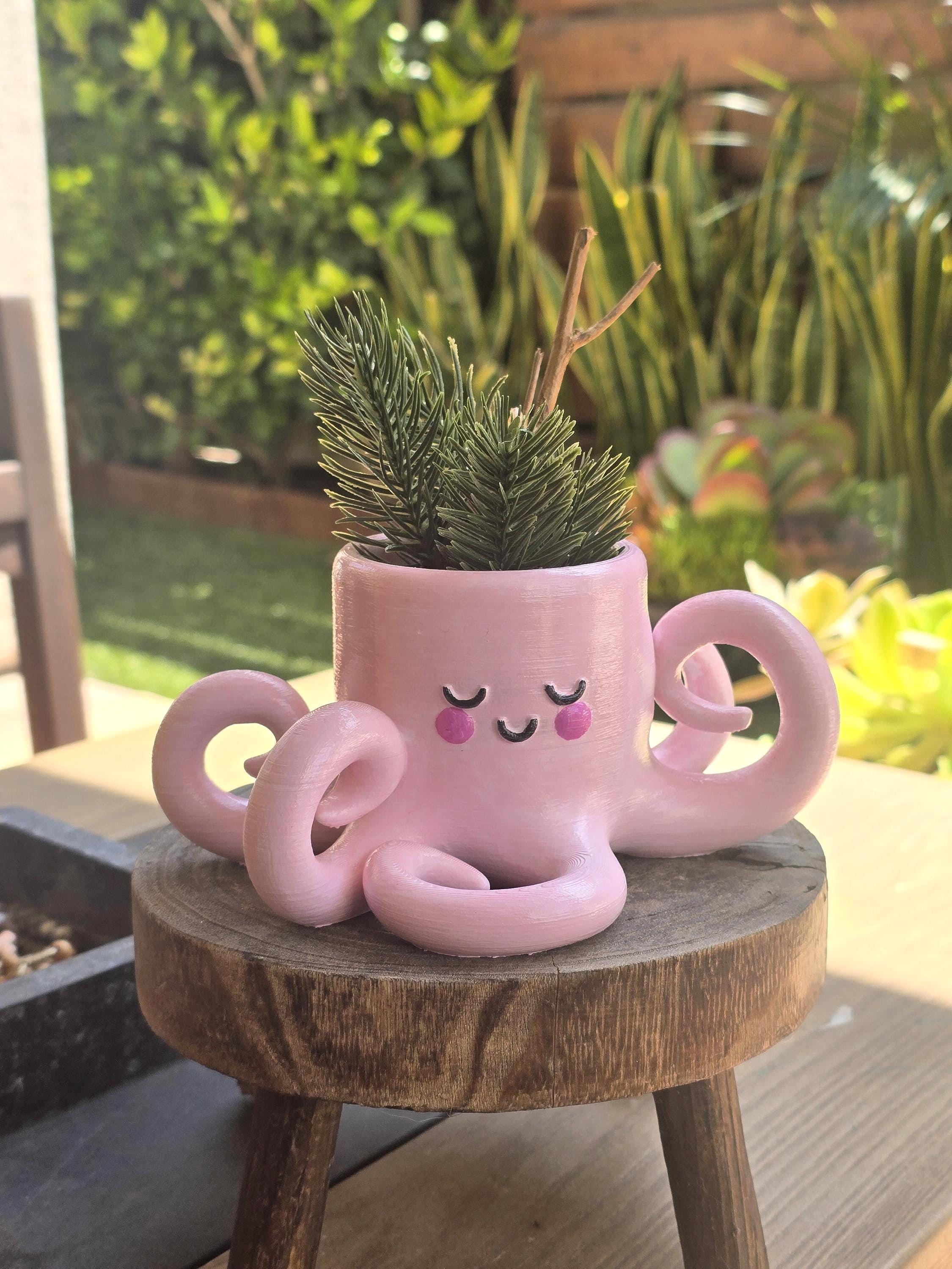 3D Printed Octopus Planter: Hand-painted Kawaii Succulent Pot - Etsy