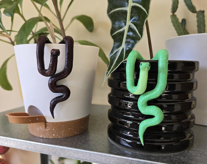 Snake Plant Pal Accessory - Etsy