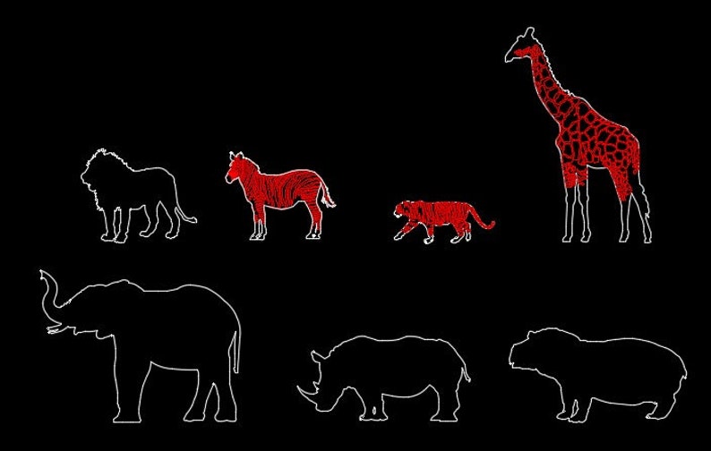 7 X Safari Animal Vector Files Lion, Tiger, Zebra, Giraffe, Hippo ...