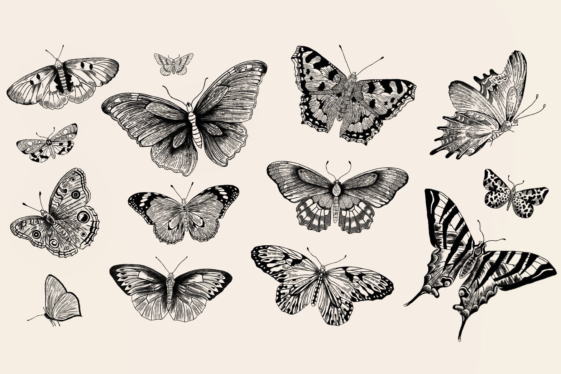 Butterfly Print - Etsy