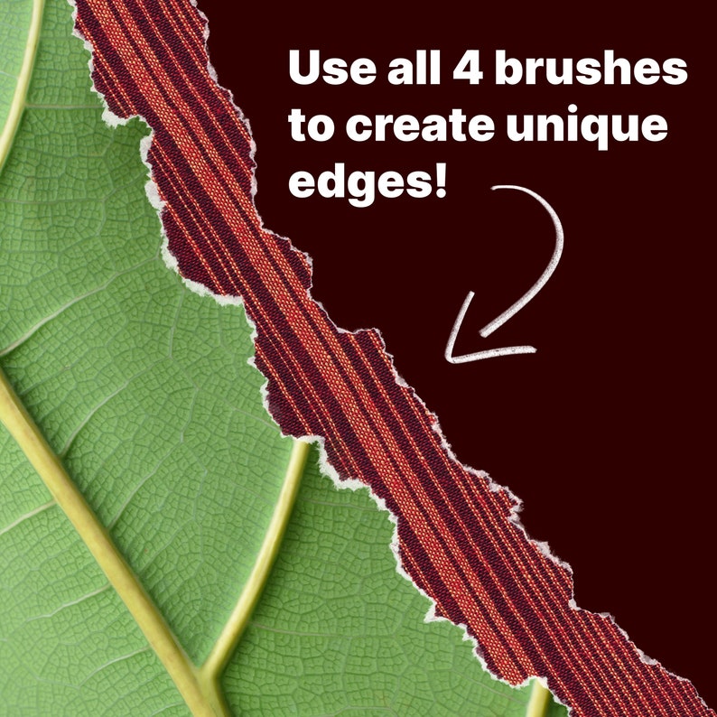 Torn Paper Brushes, Set of 4 for Procreate - Etsy