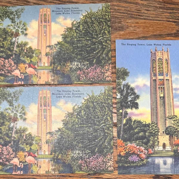 Florida Postcards - Etsy