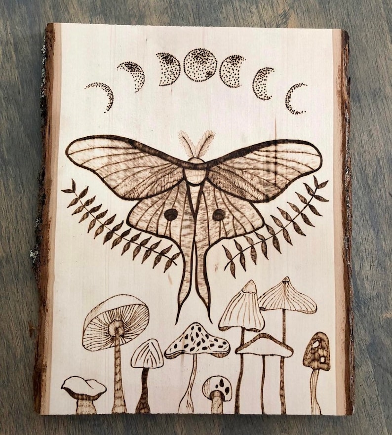 Moon Phase Moth Mushroom Wood Burning Wall Art - Etsy