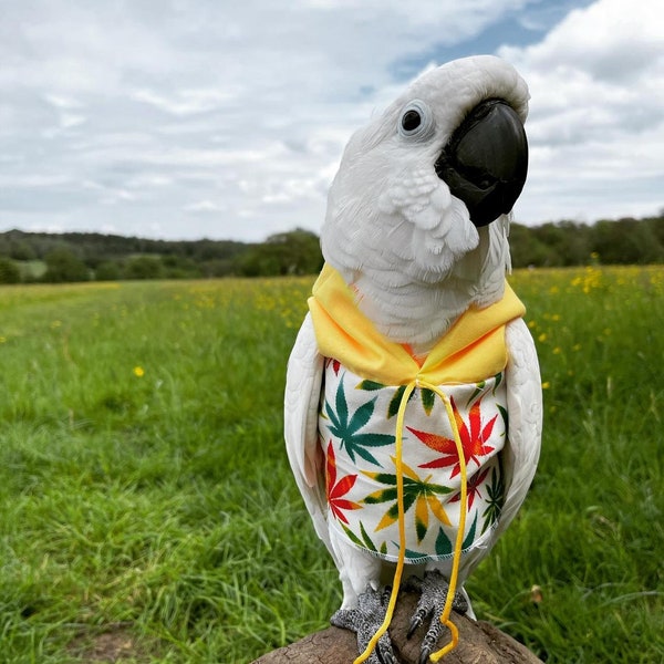 Bespoke Bird Costume - Etsy