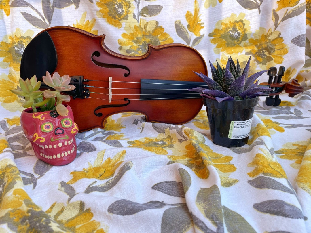 Lady Applejack 1/2 Size Violin Outfit - Etsy