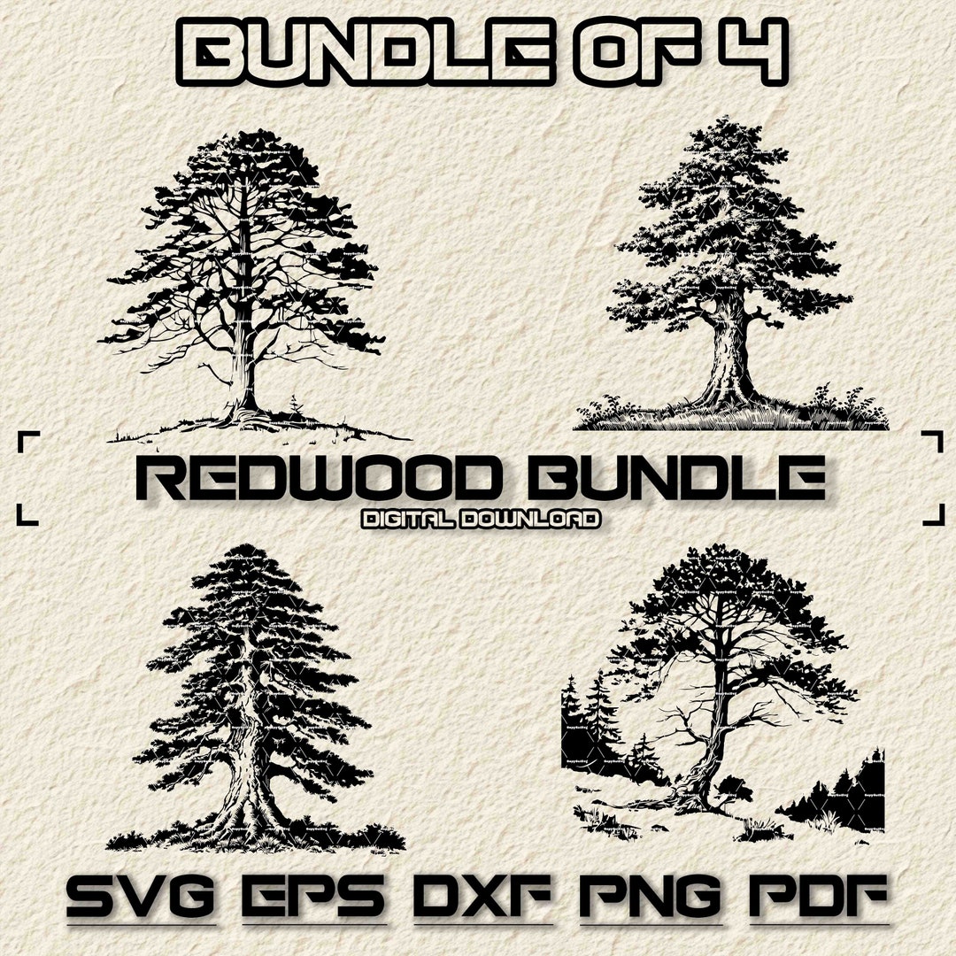 Redwood SVG Bundle, PNG, Trees Clipart, Hand Drawn Redwood Tree Vector ...
