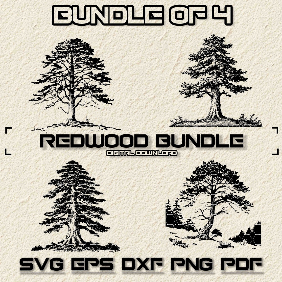 Redwood SVG Bundle, PNG, Trees Clipart, Hand Drawn Redwood Tree Vector ...