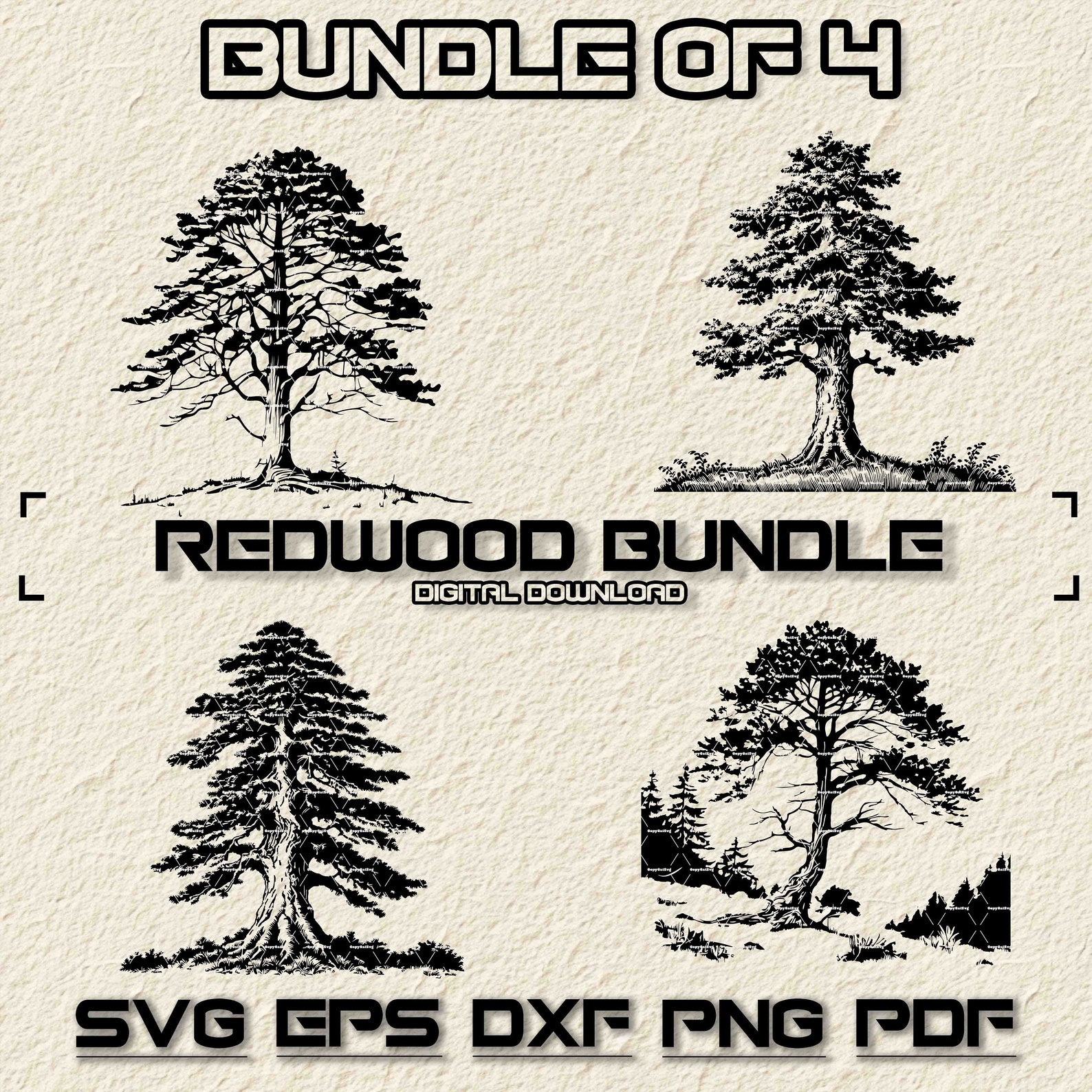 Redwood SVG Bundle, PNG, Trees Clipart, Hand Drawn Redwood Tree Vector ...