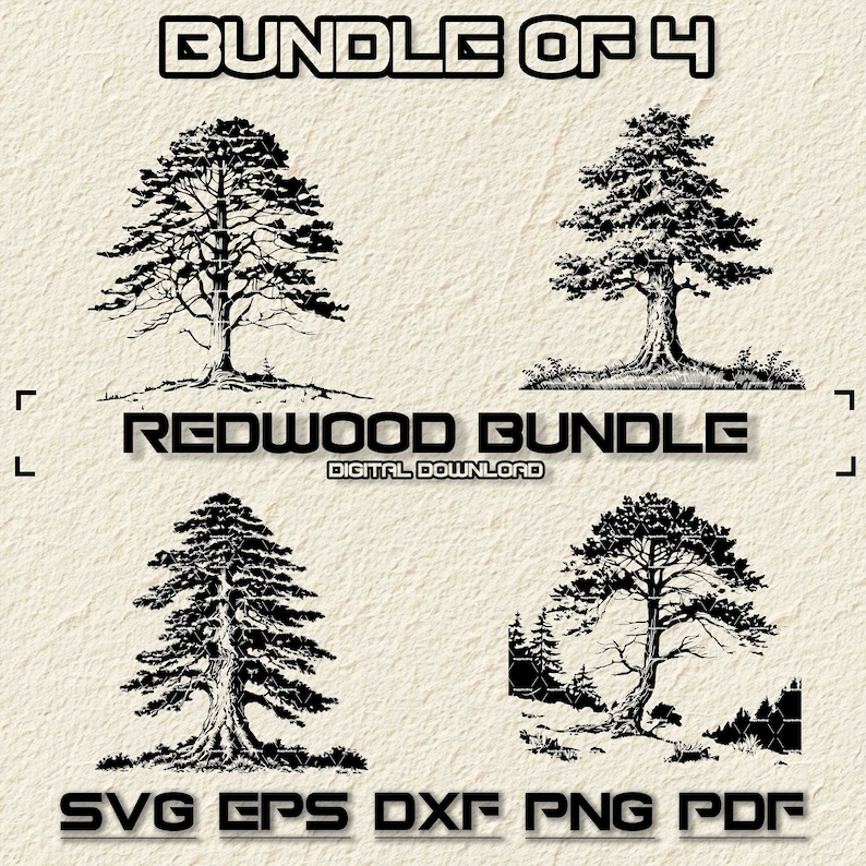 Redwood SVG Bundle, PNG, Trees Clipart, Hand Drawn Redwood Tree Vector ...