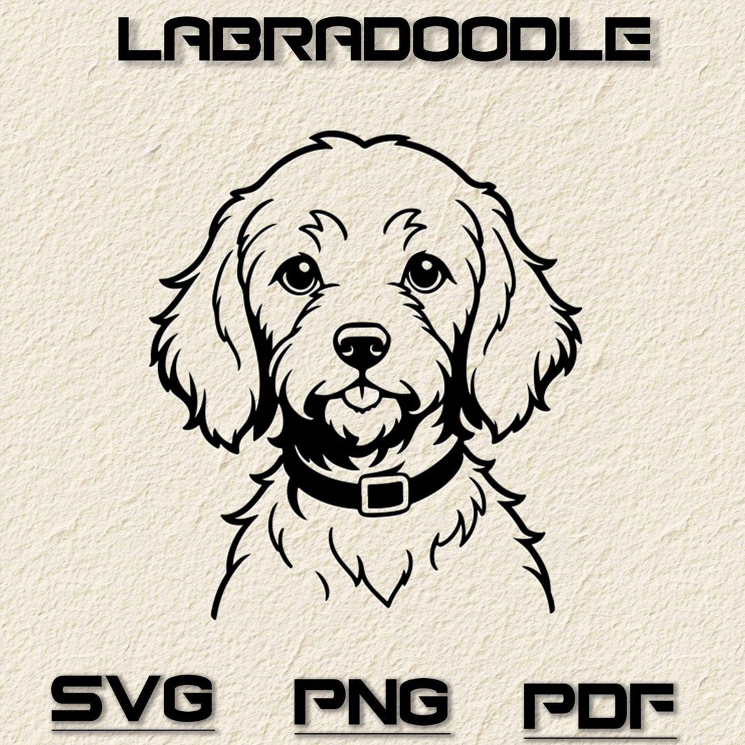 Labradoodle Svg , PNG, Hunt Clipart, Hand Drawn Vector Illustration ...