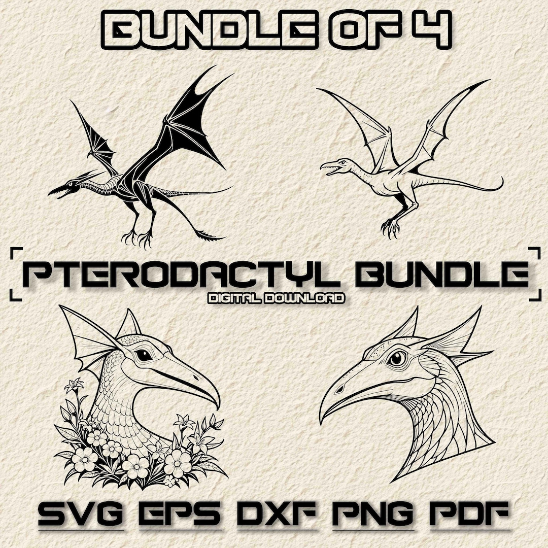 Pterodactyl SVG Bundle, PNG Clipart - Dinosaur Digital Download, Prehistoric Bird Illustration ...
