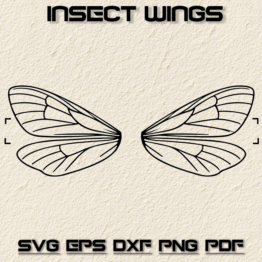 Insect Wings SVG for Cutting and Printing, Insect Wings SVG Stencil ...