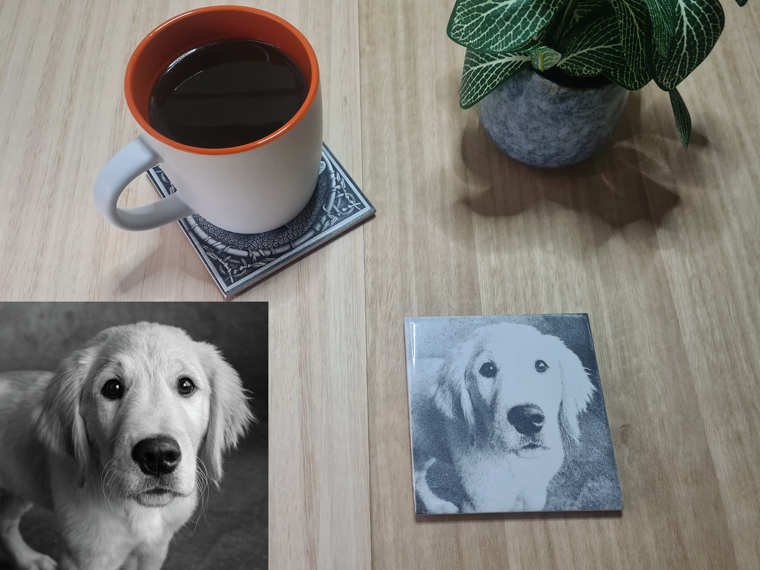 Personalised Coasters Family Photo Coasters Pet Photo Coasters Ceramic ...