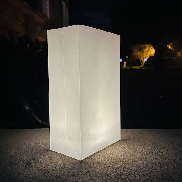 Luminary Bags - Etsy