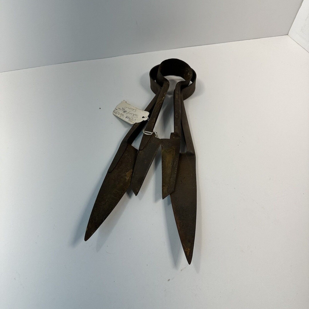 Antique Sheep Shears Original Iron Wool Shears Farm Tools Lot of 2 ...