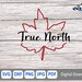 True North SVG, Canada SVG, Canada Day SVG, Canadian Girl Svg, Canadian ...