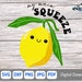 My Main Squeeze SVG PNG PDF, Lemon Svg, Main Squeeze Svg, Lemonade Svg ...