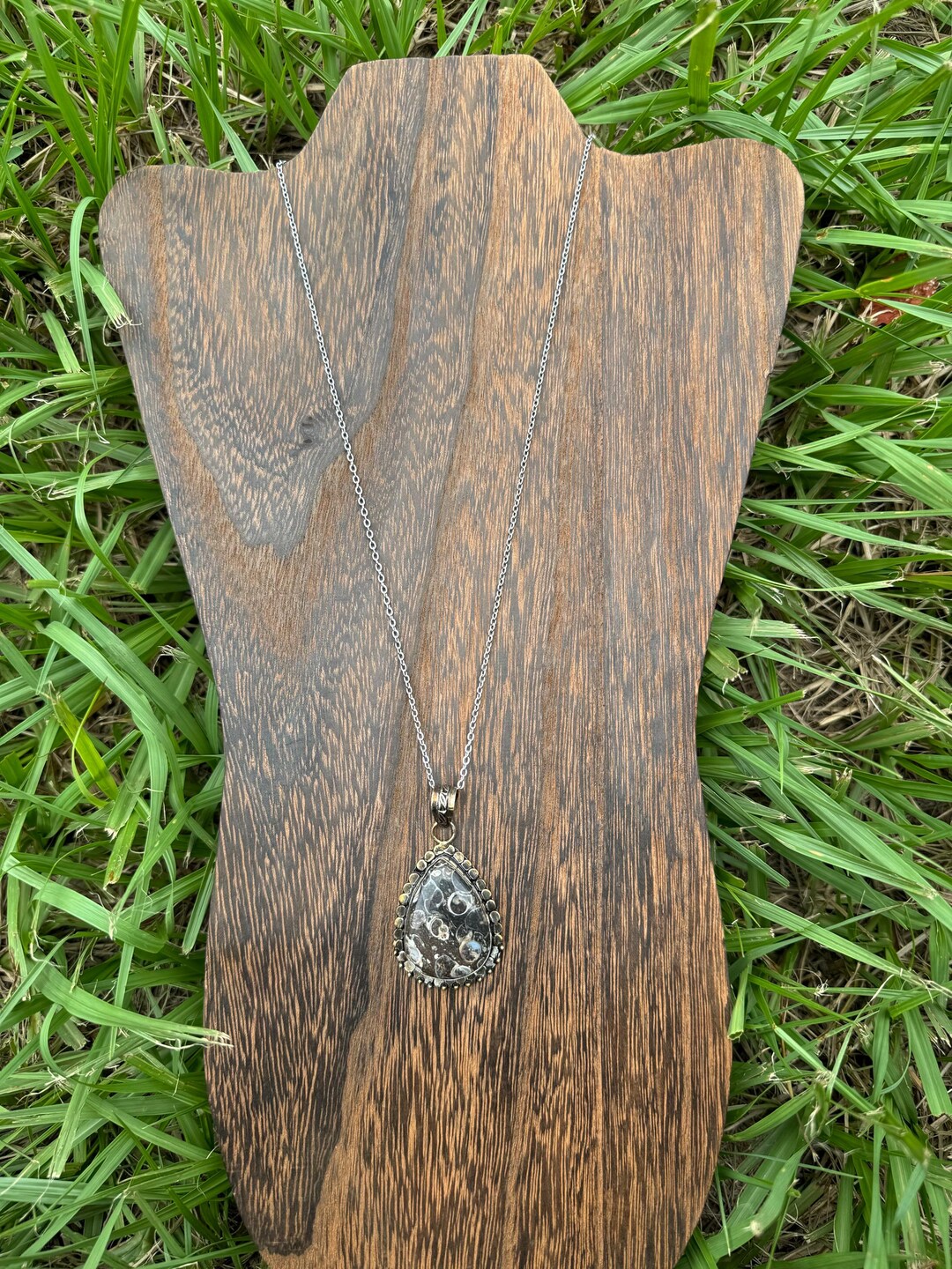 Turtella Jasper - Etsy