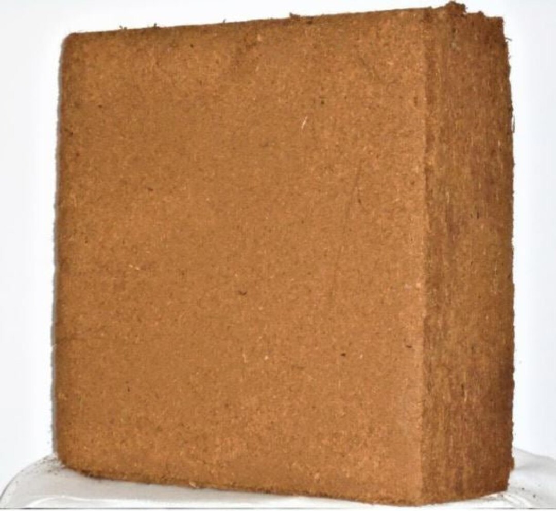 Organic Coconut Coir Block for Gardening, Planting, Just Add Water ...