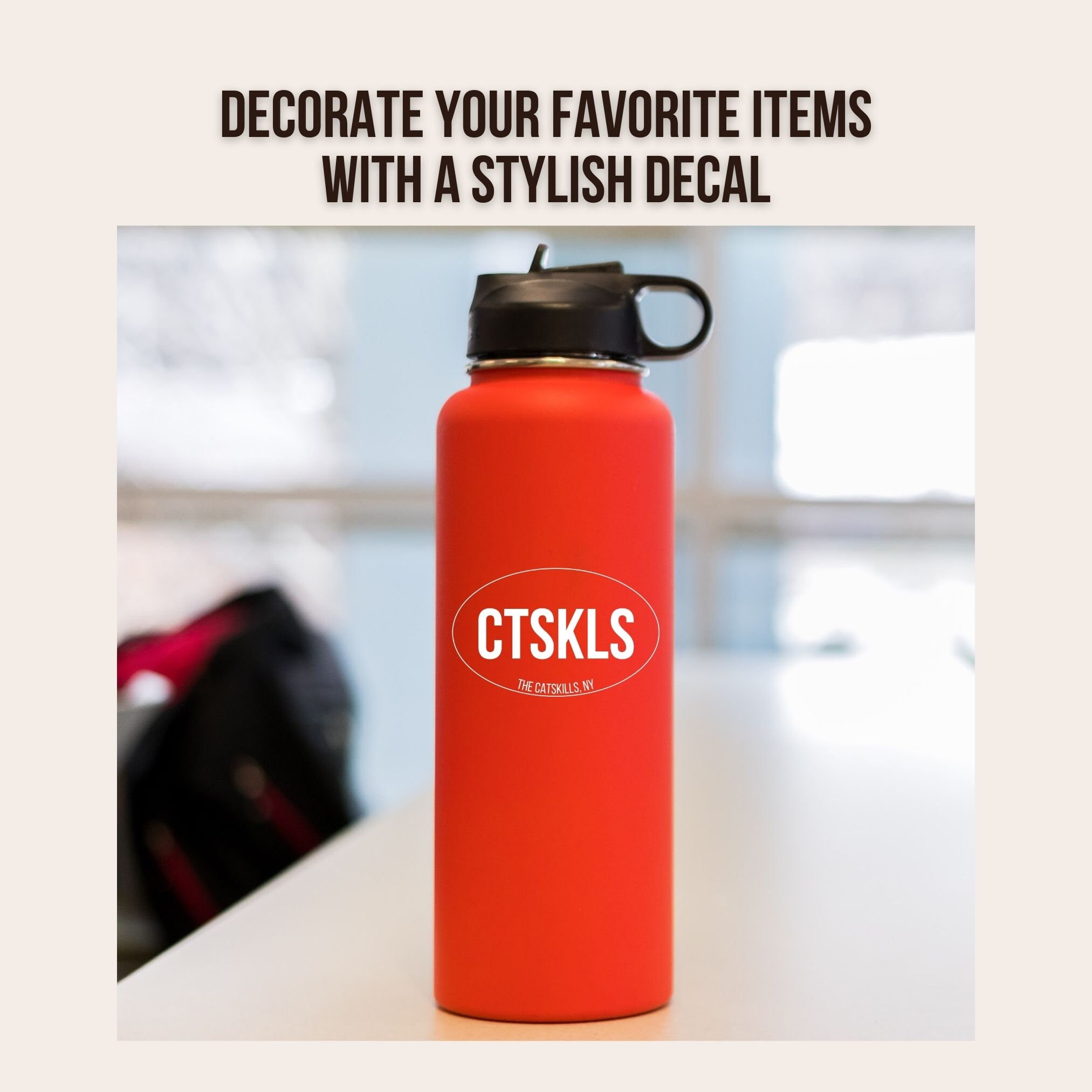 Catskills New York Merch Sticker Decal, Upstate NY Adventure Gifted ...