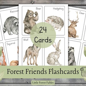 Forest Animals Printable Flashcards for Nature Units, Printable PDF ...