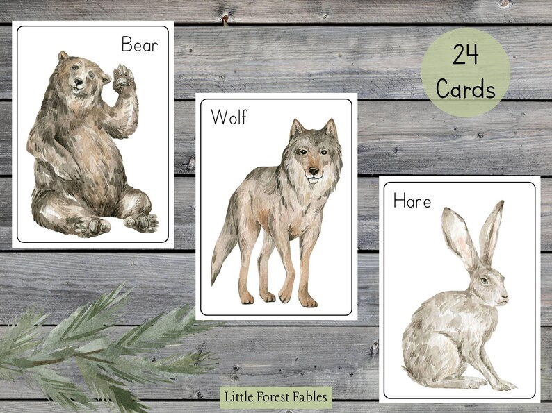 Forest Animals Printable Flashcards for Nature Units, Printable PDF ...