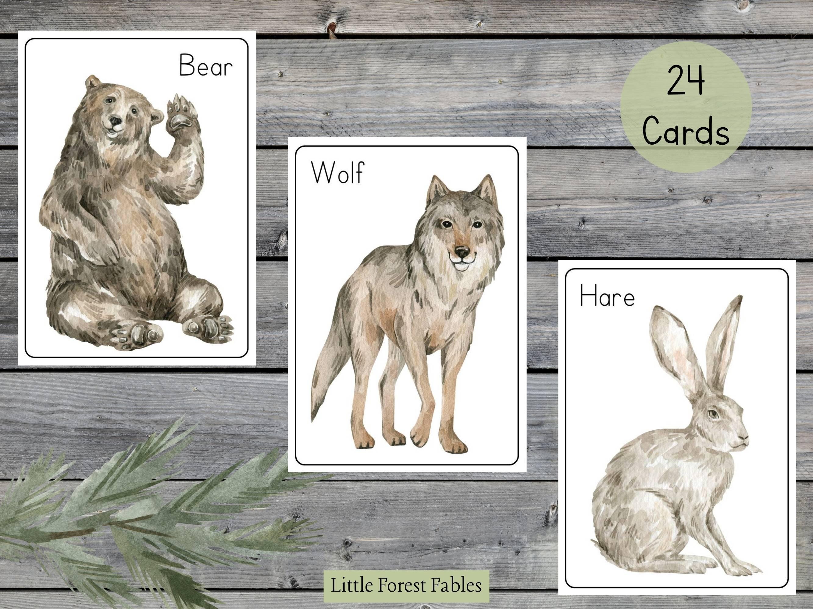 Forest Animals Printable Flashcards for Nature Units, Printable PDF ...