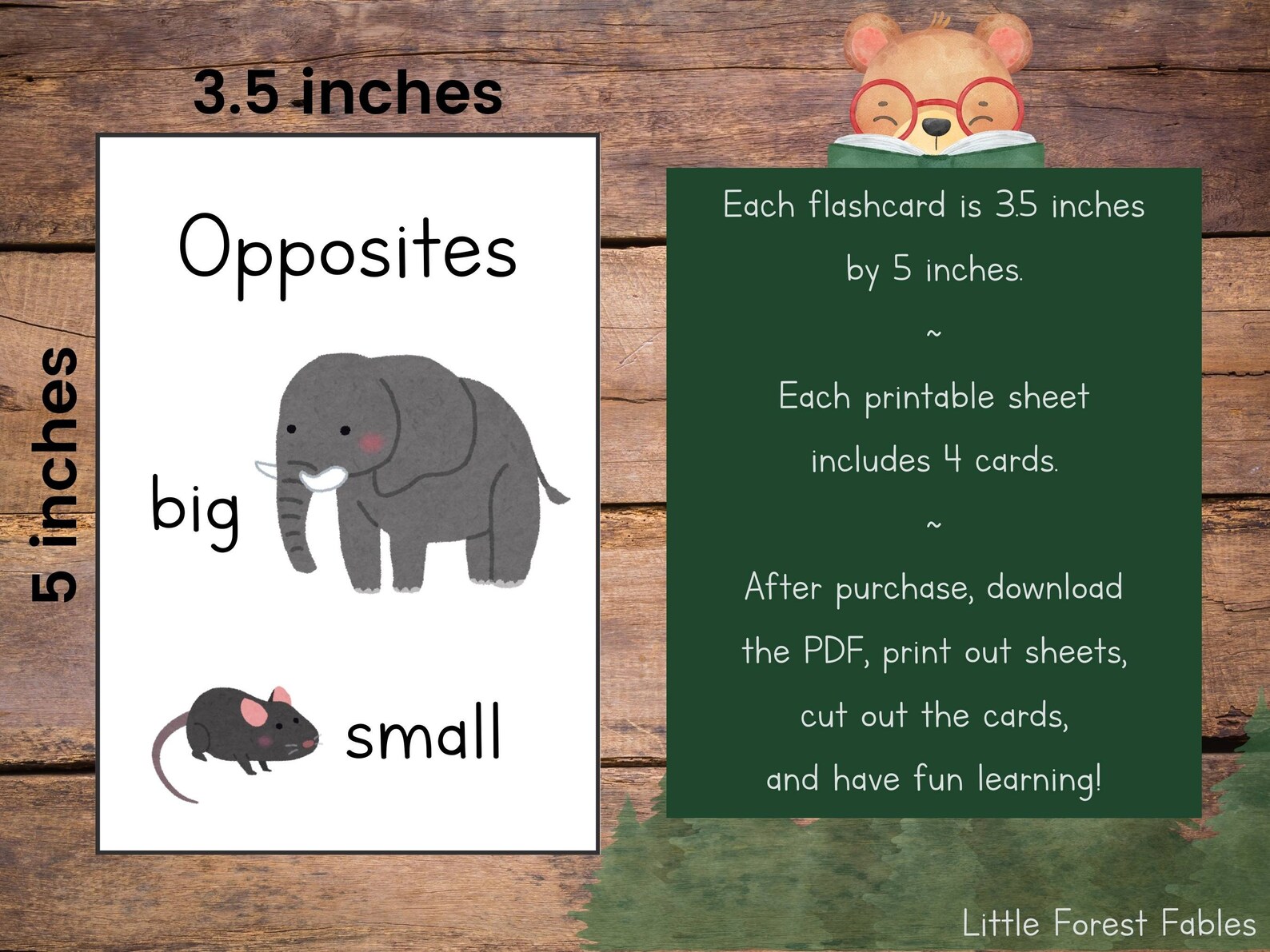 Opposite Words Printable ELA Flashcards for Kids, ELA Teacher ...