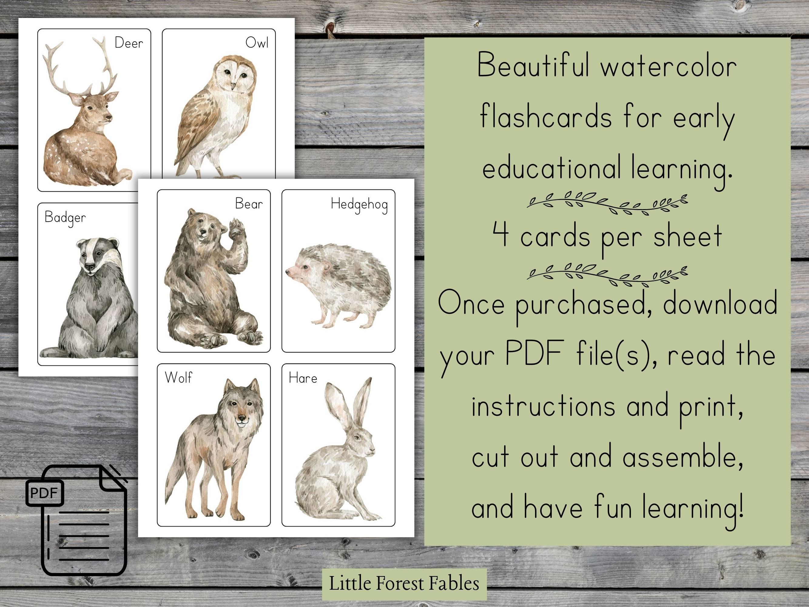 Forest Animals Printable Flashcards for Nature Units, Printable PDF ...