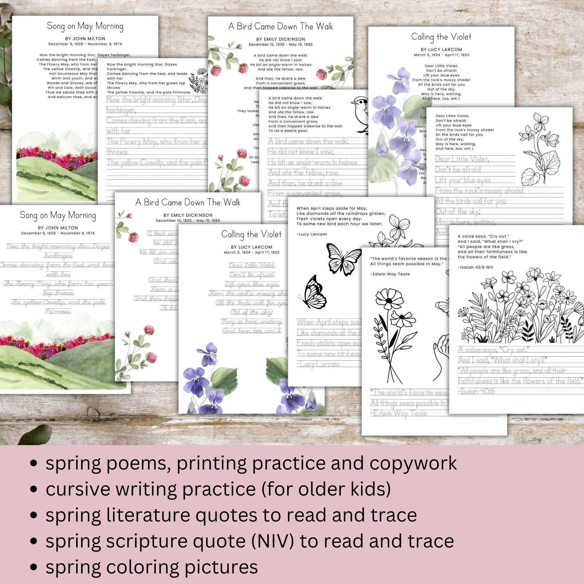 May Morning Menu Homeschool, Elementary Morning Menu Worksheets, Spring ...