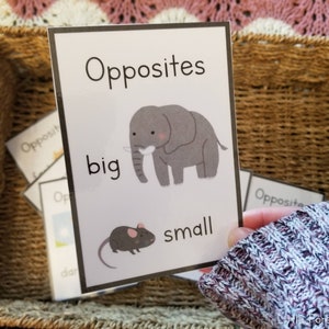 Opposite Words Printable ELA Flashcards for Kids, ELA Teacher ...