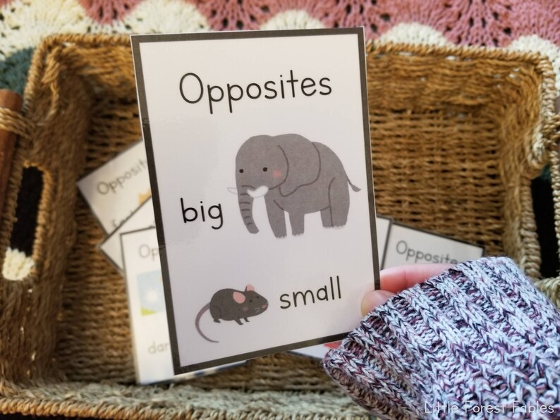 Opposite Words Printable ELA Flashcards for Kids, ELA Teacher ...