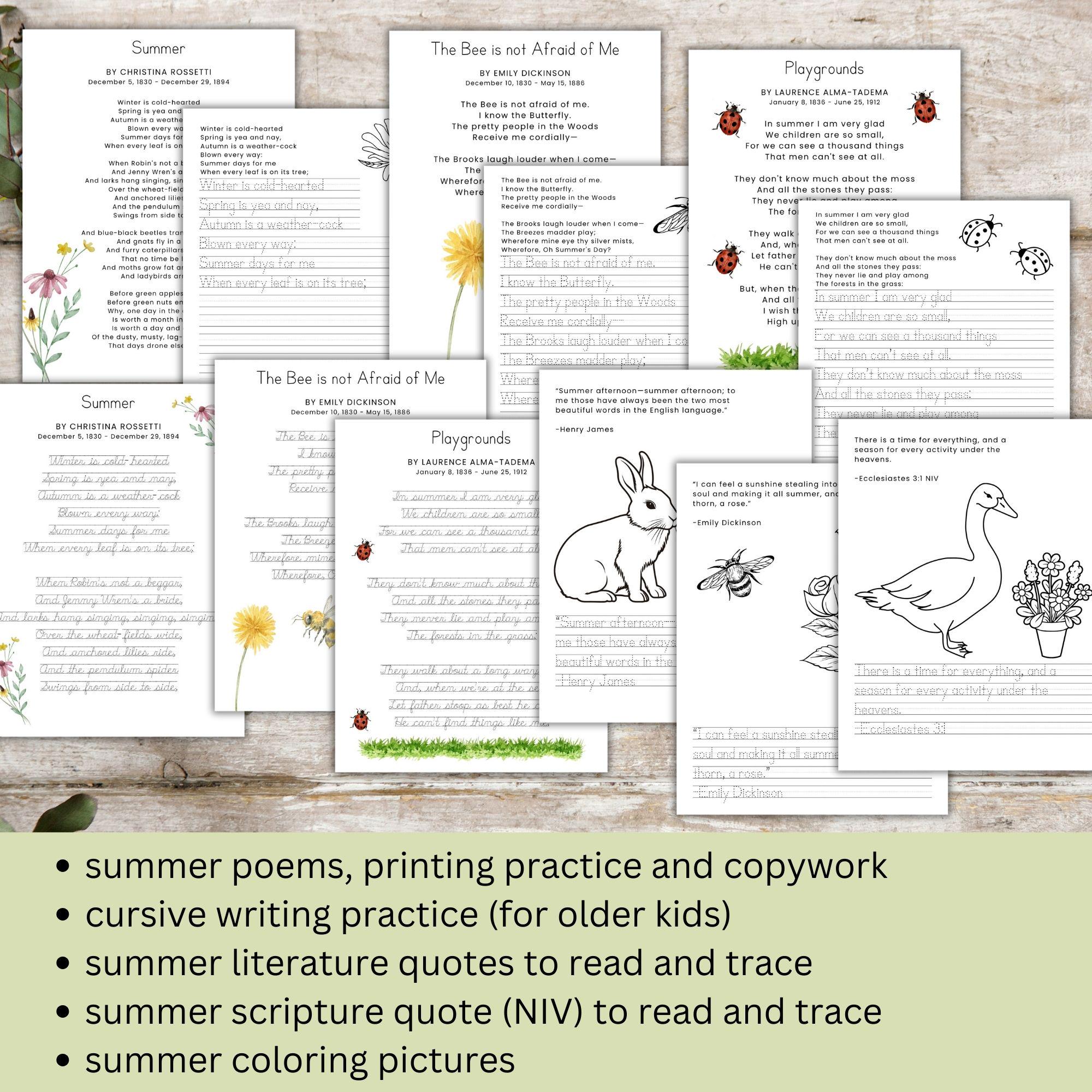 July Morning Menu Elementary, Homeschool Monthly Morning Menu, Summer ...