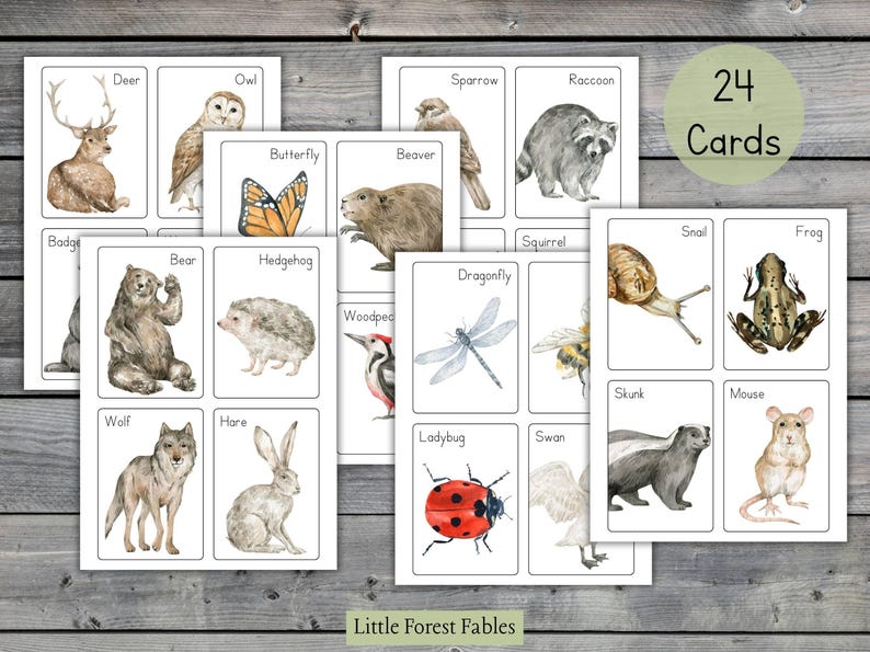 Forest Animals Printable Flashcards for Nature Units, Printable PDF ...