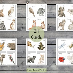 Forest Animals Printable Flashcards for Nature Units, Printable PDF ...